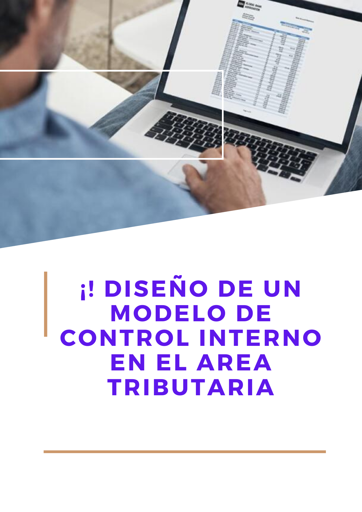 DISEÑO DE UN MODELO DE CONTROL INTERNO EN EL AREA TRIBUTARIA - He...