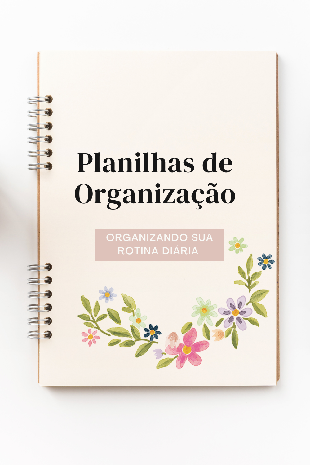 Planilhas organizadoras - Keyla Valentim | Hotmart