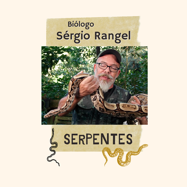 Biologia e manejo de serpentes com o biólogo Sérgio Rangel - Amendoim ...