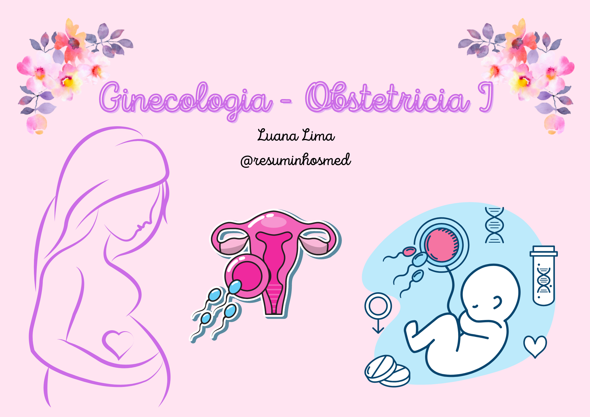 Gineco-Obstetrícia I - Luana Lima | Hotmart