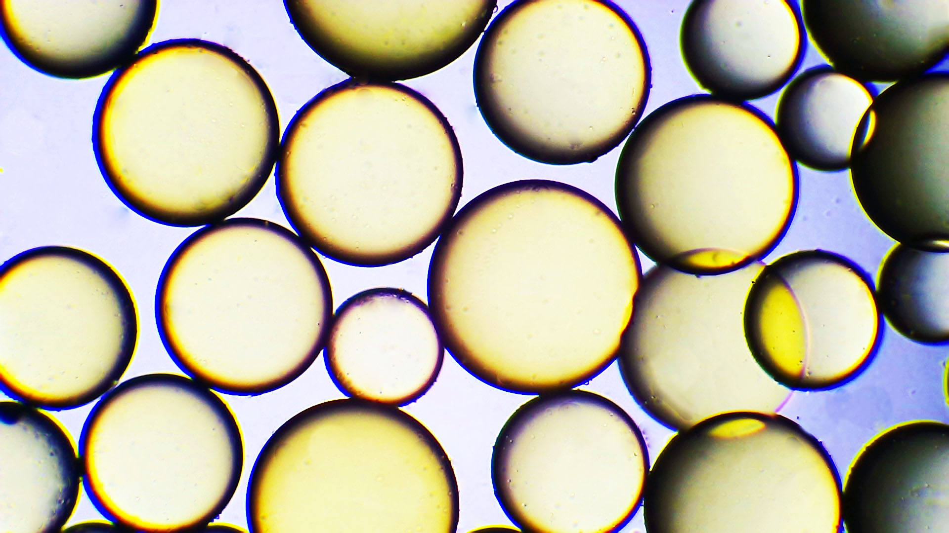 Resinas de Troca Iônica - Curso Teórico/Prático - Carlos Maffessoni ...