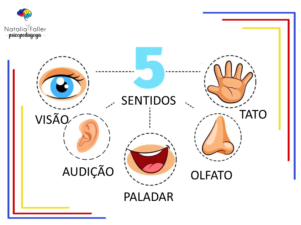 5 SENTIDOS - Psicopedagoga Natalia Faller | Hotmart