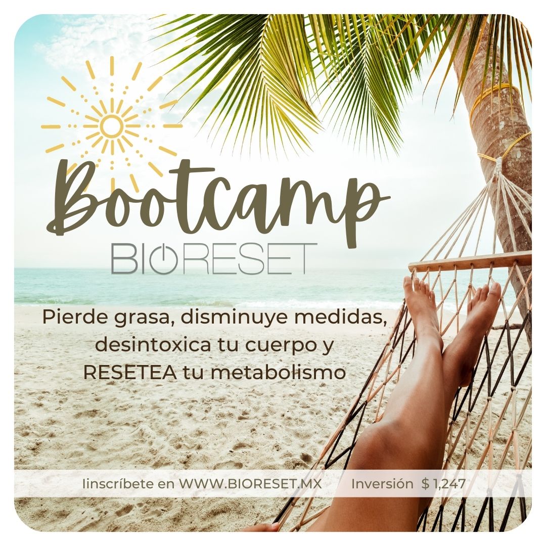 BOOTCAMP BIORESET - Sharon Ovadia | Hotmart