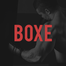 O BOXE E SEUS PRINCIPAIS CONCEITOS - Francisco Caneppa | Hotmart