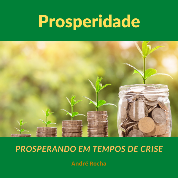 PROSPERIDADE - PROSPERANDO EM TEMPOS DE CRISE - ANDRE SAMPAIO DA ...