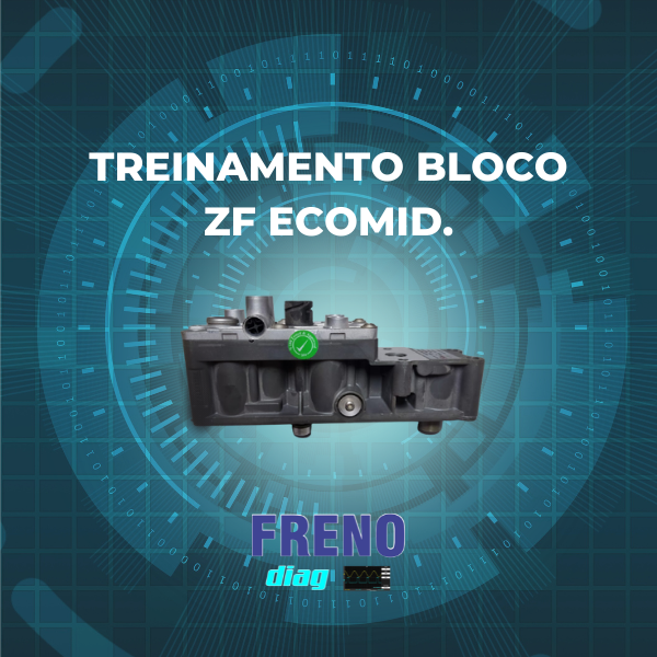 Treinamento bloco ZF Ecomid. - Bianca Rafaela | Hotmart
