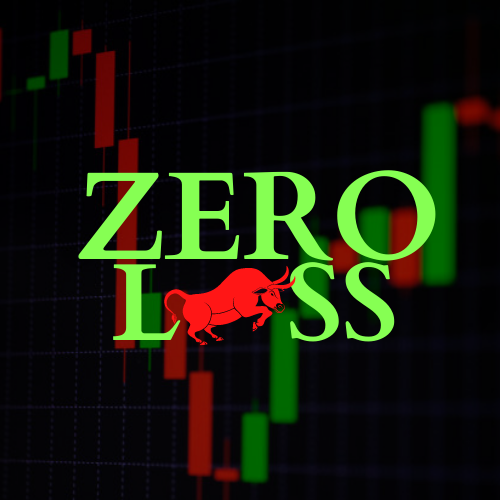 Zero Loss - Natalia Verissimo | Hotmart