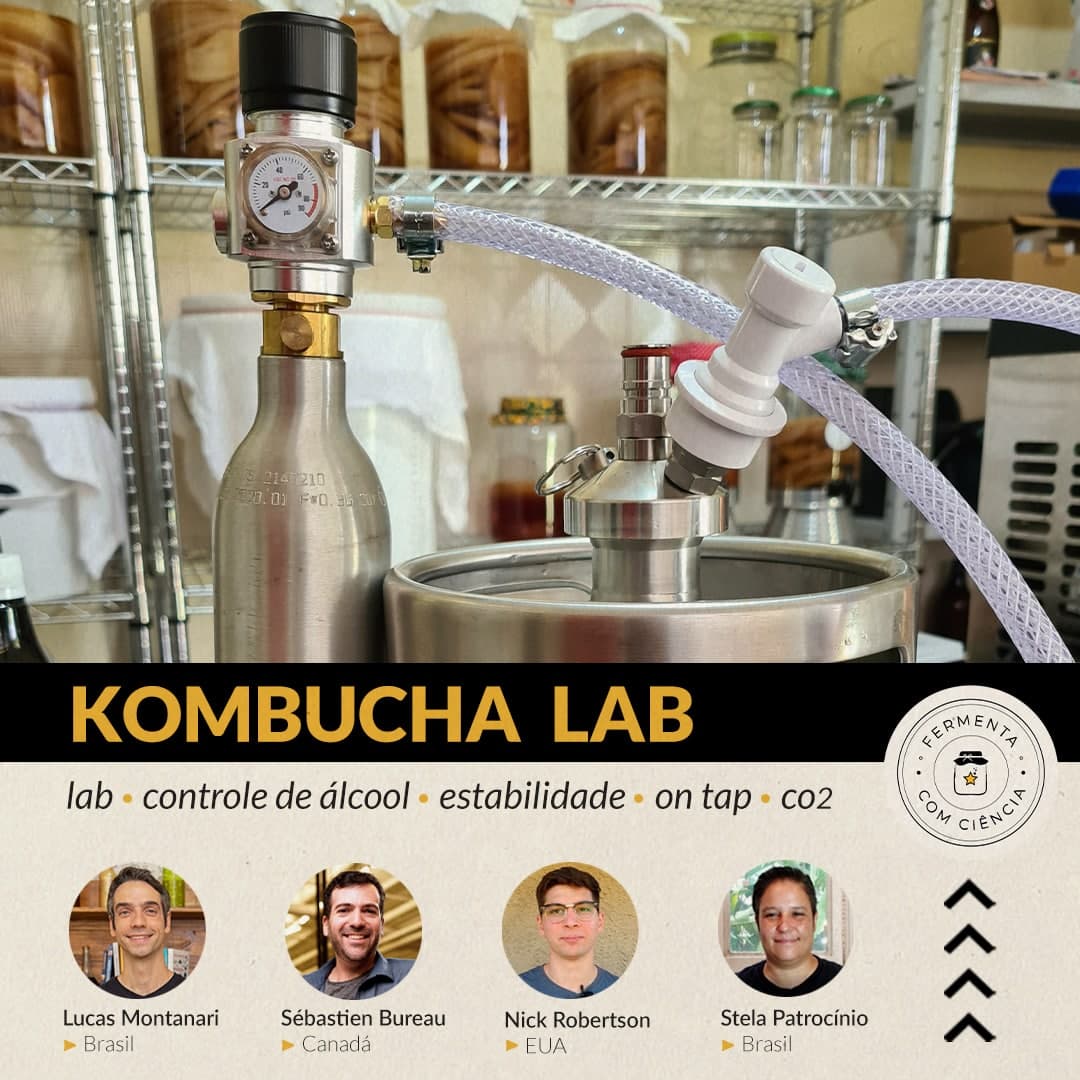 Kombucha On Tap - Fermenta Com Ciência | Hotmart