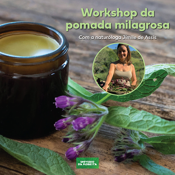 Workshop Pomada 'Milagrosa' - Universo da Floresta | Hotmart