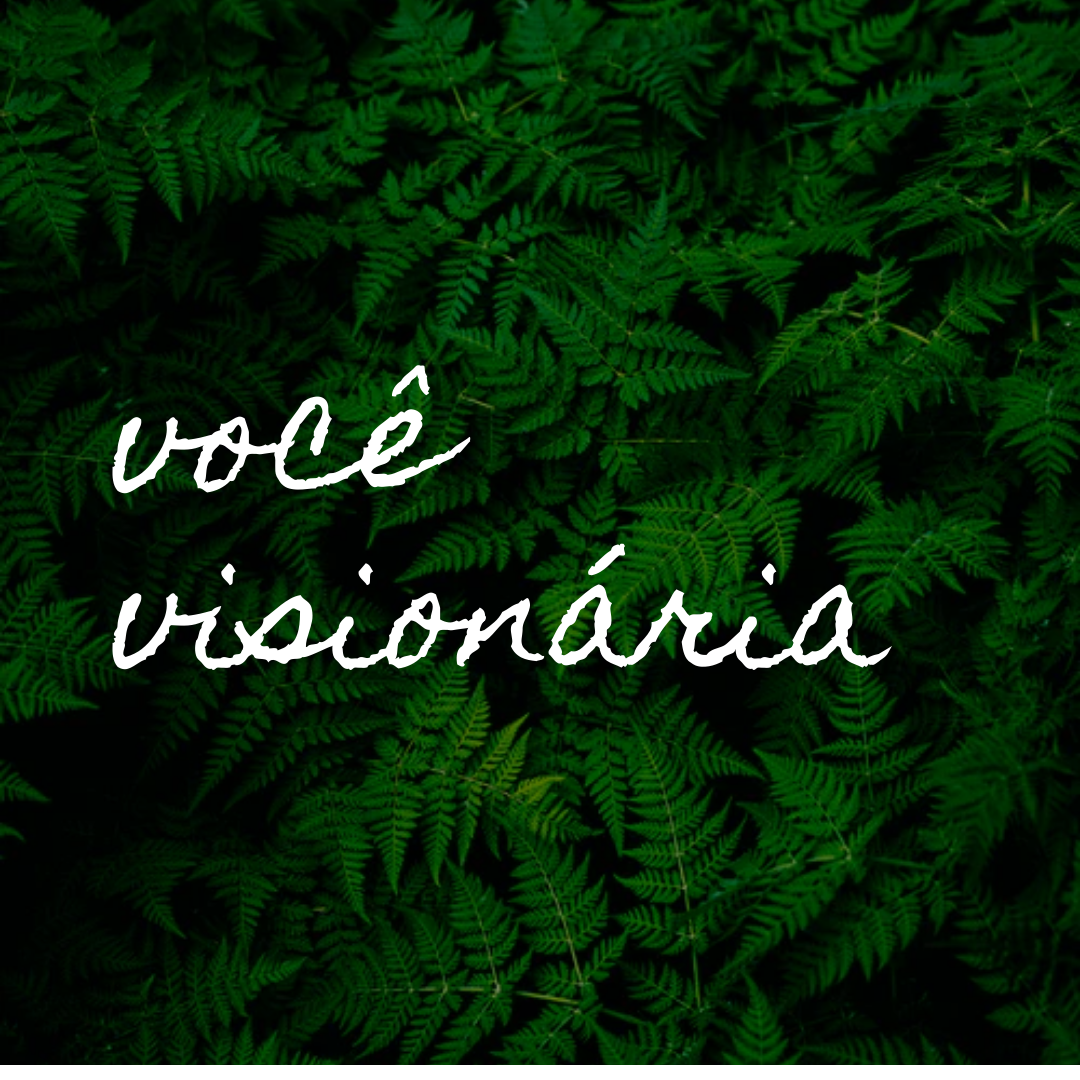 Curso Você Visionária | T3 - Gabriela Mercês | Hotmart