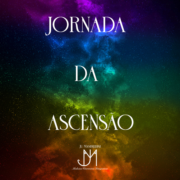 Jornada da Ascensão - Ju Manfredini | Hotmart