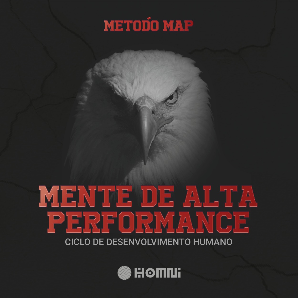 Método MAP - Mente de Alta Performance - Luiz Augusto do Amaral | H...