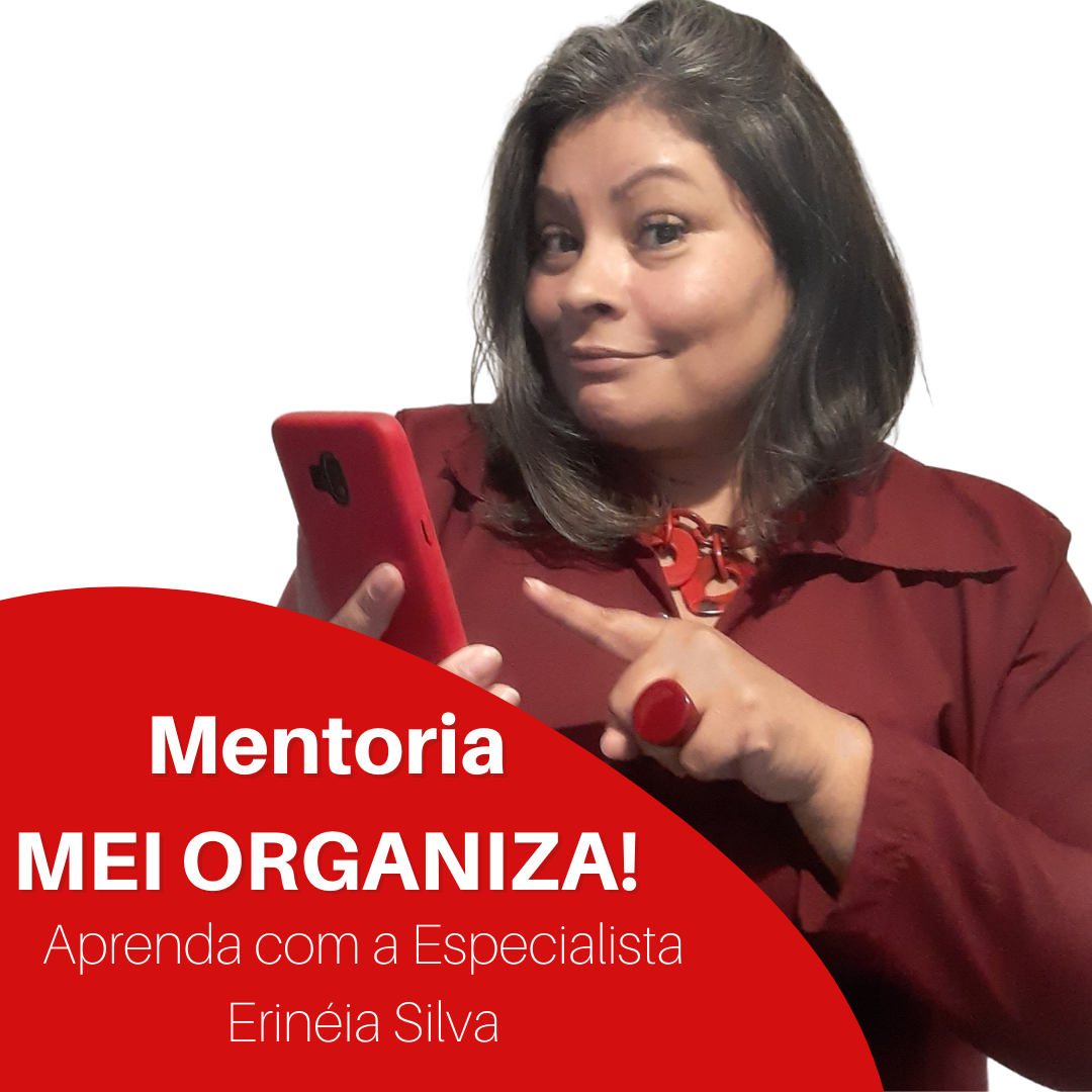 Mentoria - MEI ORGANIZA - Erinéia Silva | Hotmart