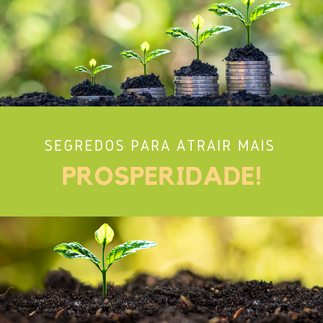 SEGREDOS PARA ATRAIR PROSPERIDADE - daniele de sousa barros | Hotmart
