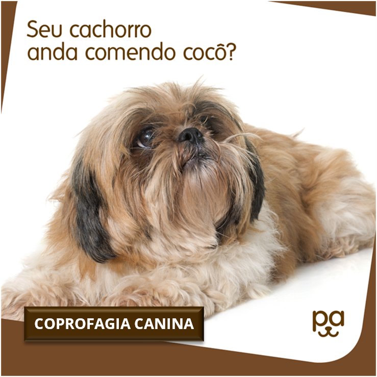 Curso de Coprofagia Canina - INSPA Psicologia Animal | Hotmart