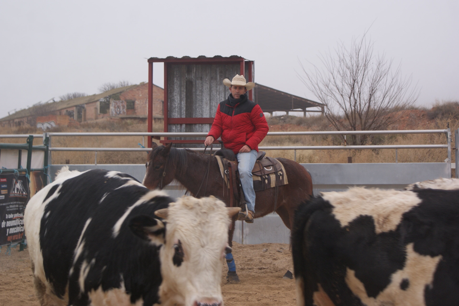 CABALLOS DE VACA 30 DÍAS - EN SOLO 30 DÍAS,TÉCNICA GARANTIZADA