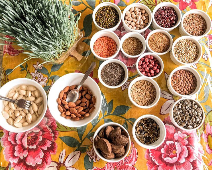 EXPERIÊNCIA GERMINARE - Germina Vida | Hotmart