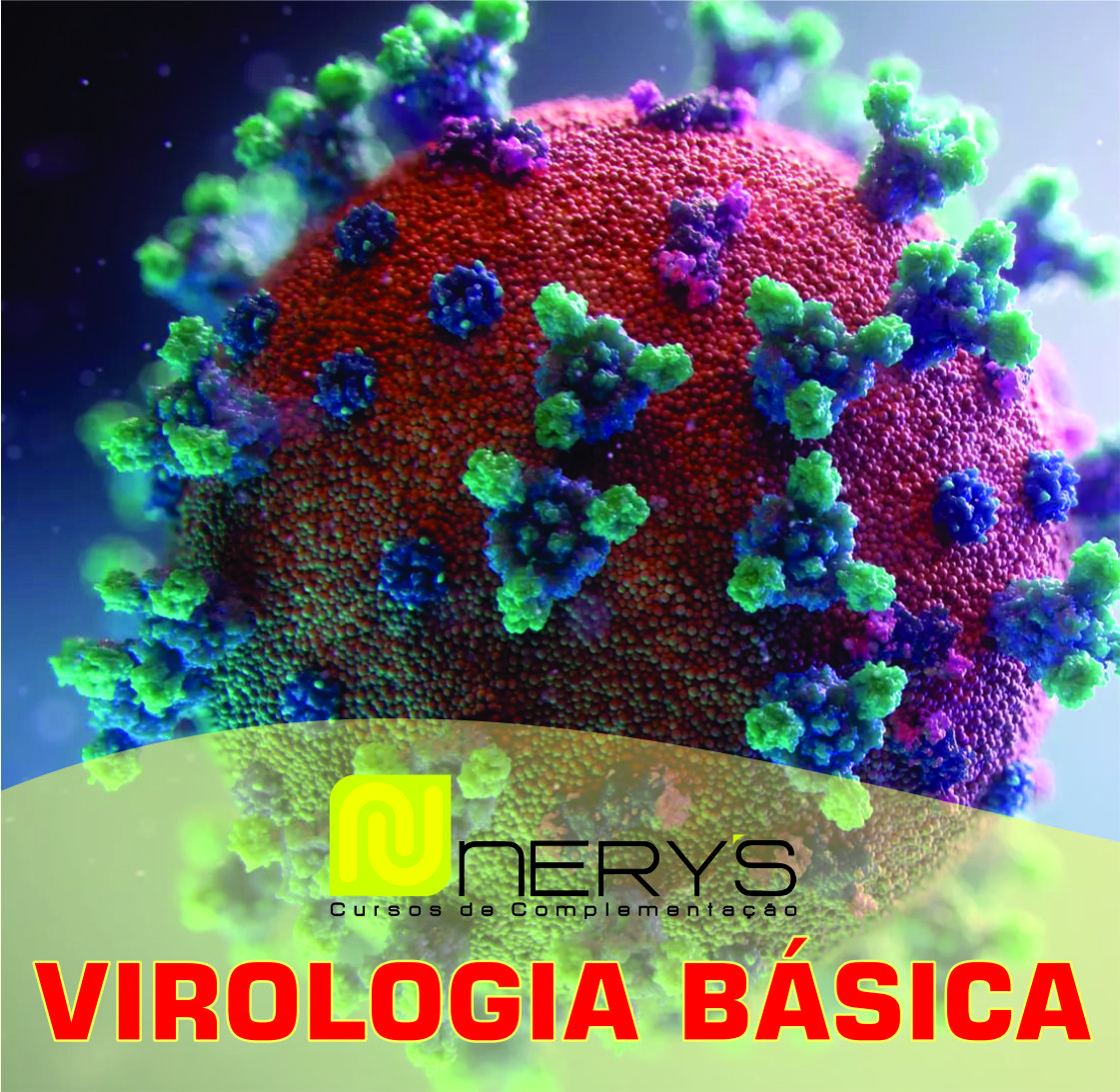 CURSO DE VIROLOGIA BÁSICA - Nery's Cursos | Hotmart