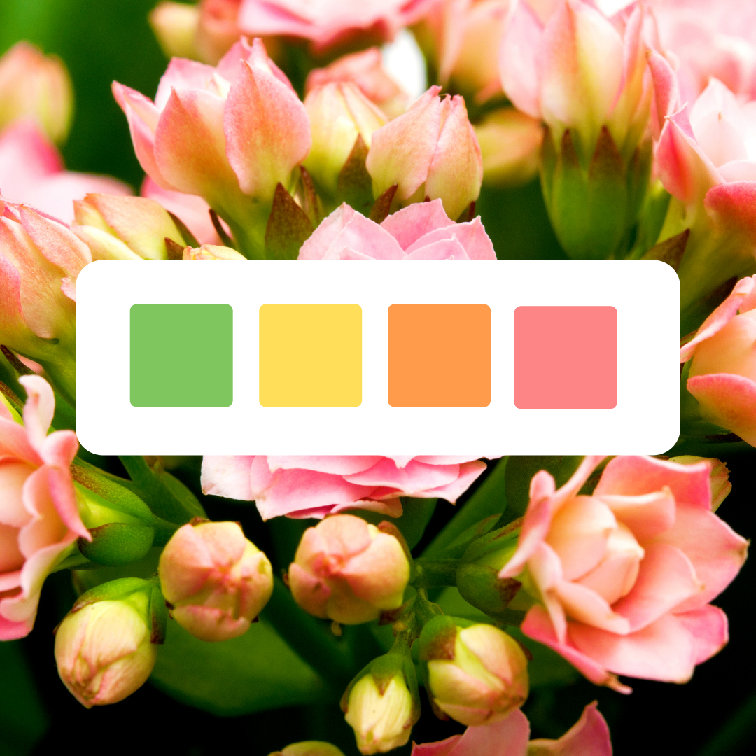 PRIMAVERA CLARA: Simbólica completa da cartela de cores - Géssica V...