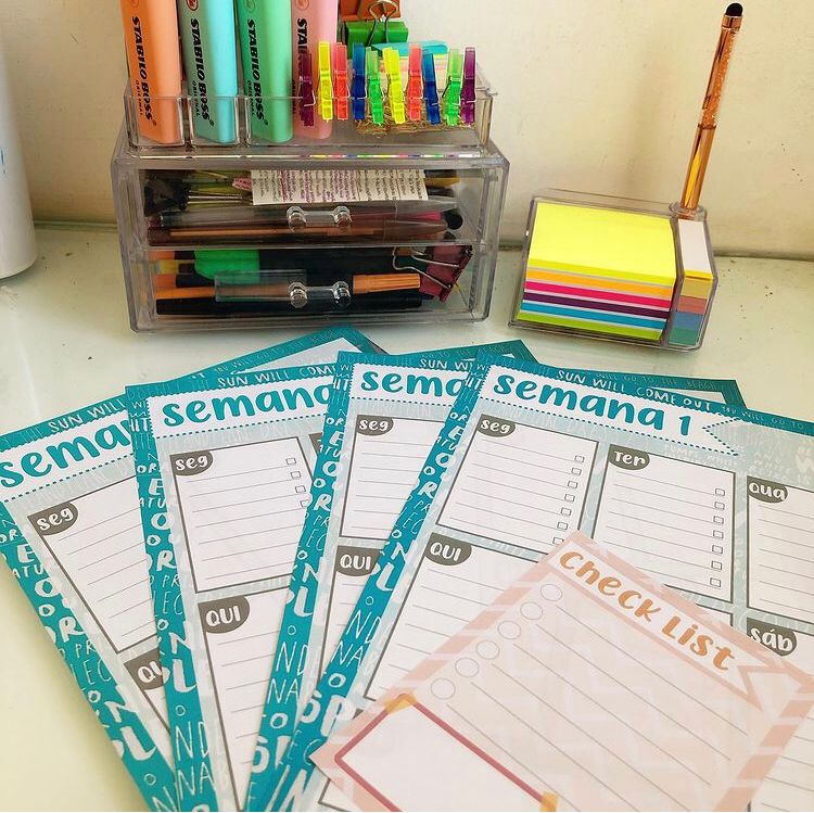 Planner de Revisão por semanas - Gabriela Farias Carreiro | Hotmart