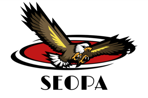 SEO PARA AFILIADOS - SEOPA Produção e Marketing | Hotmart