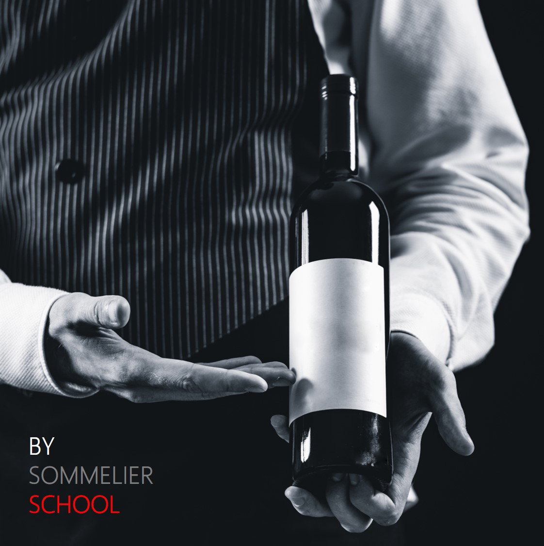 Curso de vinhos para iniciantes by Sommelier School - Sommelier School ...