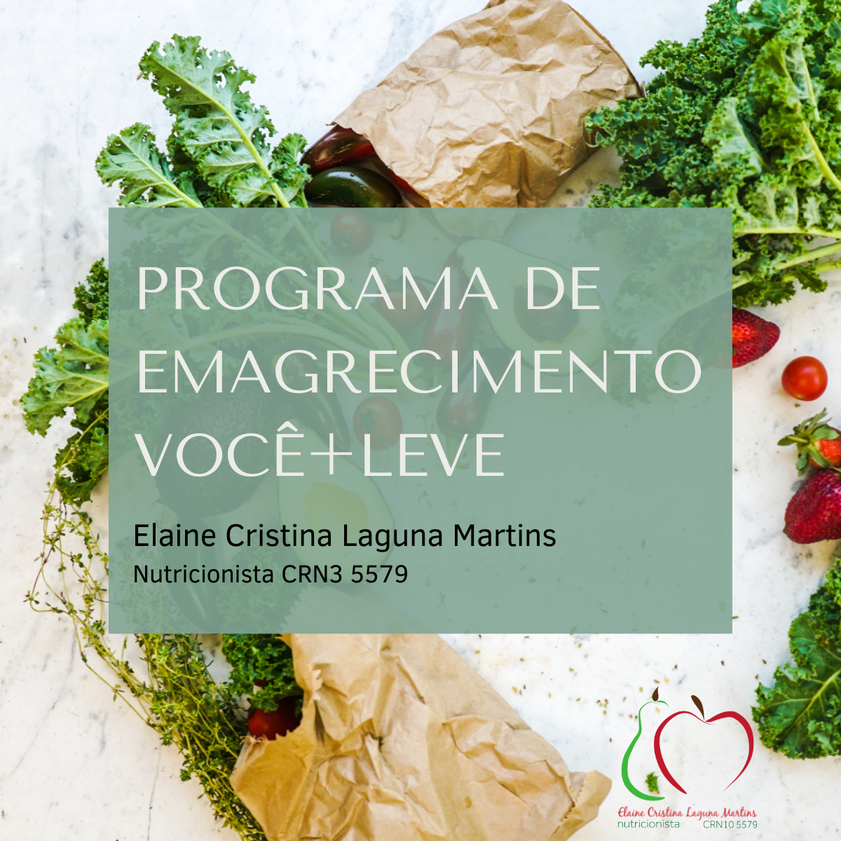 Programa de Emagrecimento 12 semanas Você +Leve - Elaine Martins | Hotmart