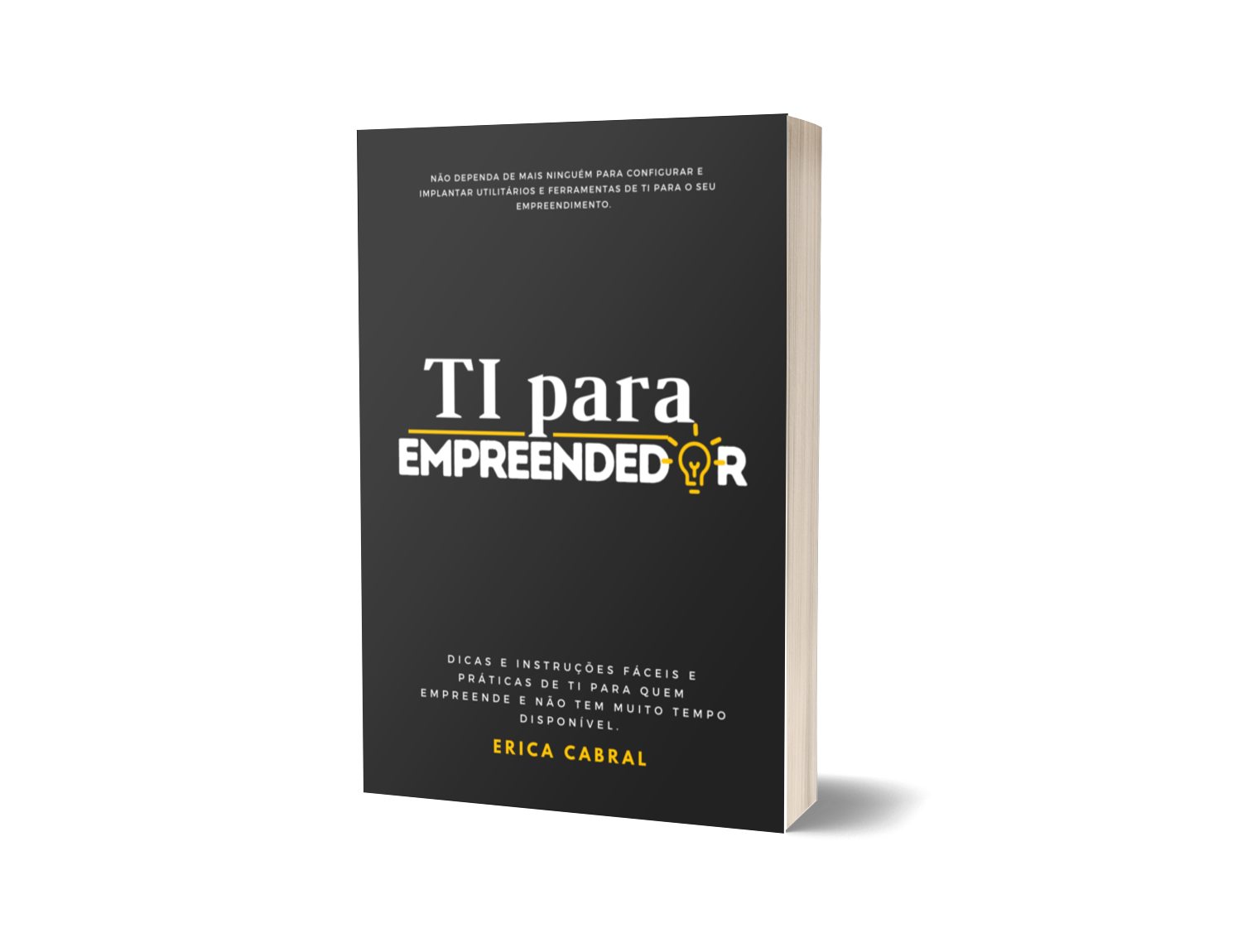 e-Book TI para Empreendedor - Sua Empresa na Internet - Erica Cabra...