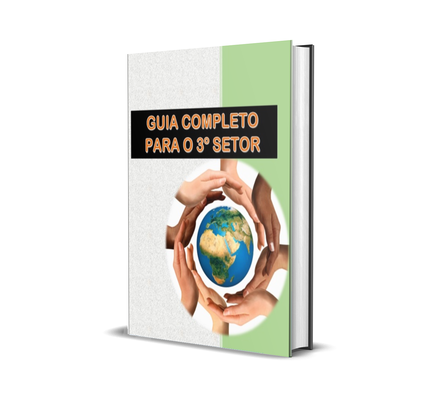 Gui Completo para o 3º Setor - Natália | Hotmart