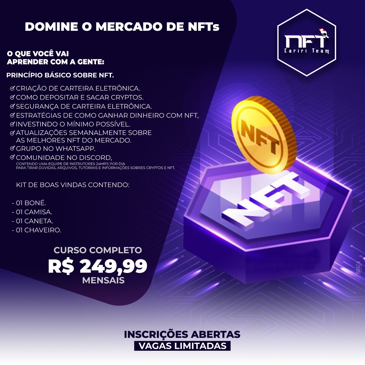 Ganhe dinheiro com NFT sem sair de casa. - Thierre Ramos | Hotmart