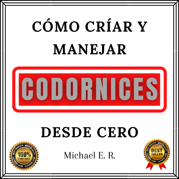 Cómo criar y manejar codornices desde cero - Michael Esteves Ramíre...
