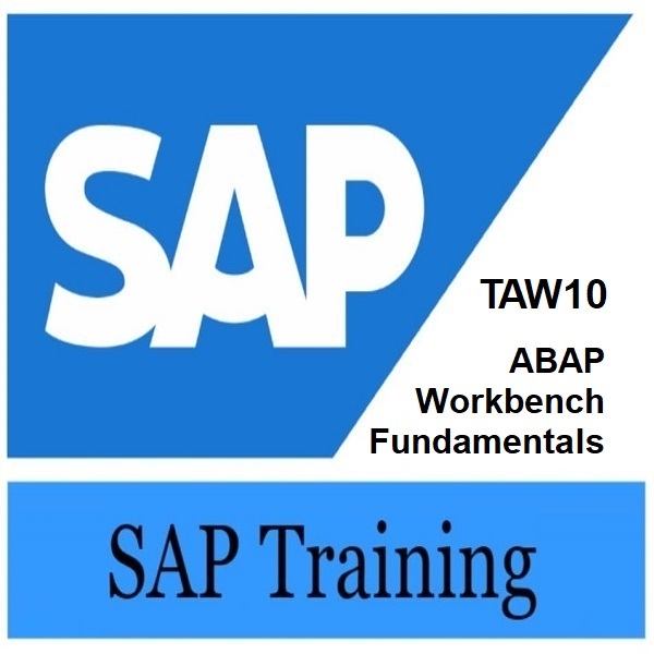 Taw10 Abap Workbench Fundamentals Full Course 2021 Edwin Pinto Diaz Hotmart