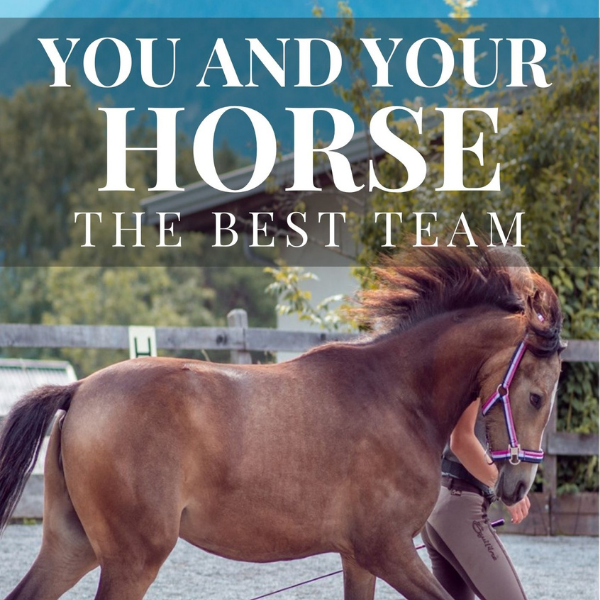 YOU AND YOUR HORSE, THE BEST TEAM. HORSE TRAINING. Beginner’s Guide...