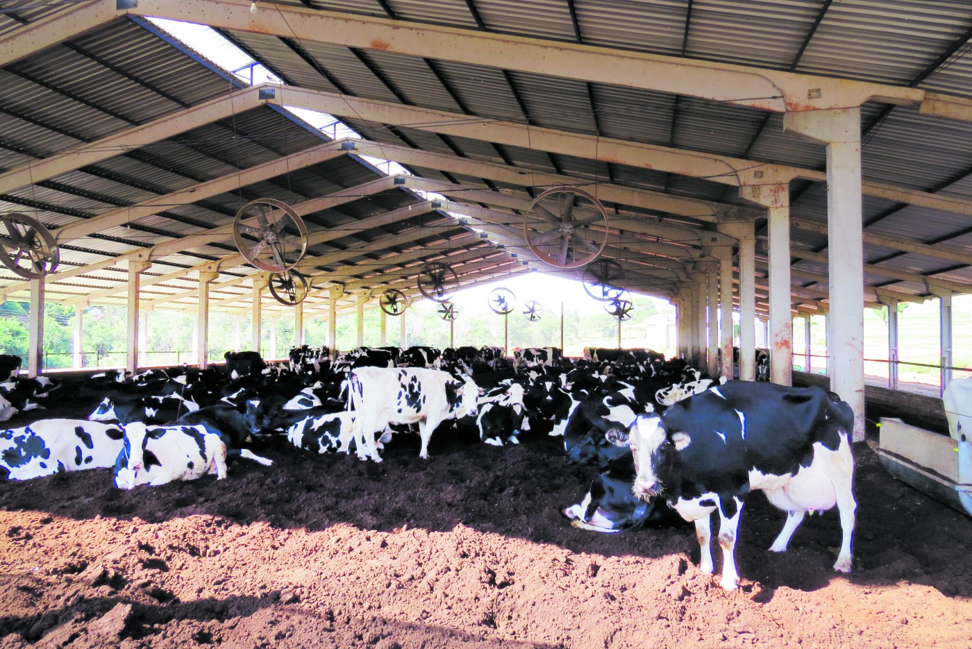 Curso de Compost barn + Projeto - Centro Multiplicador de Capacitação ...