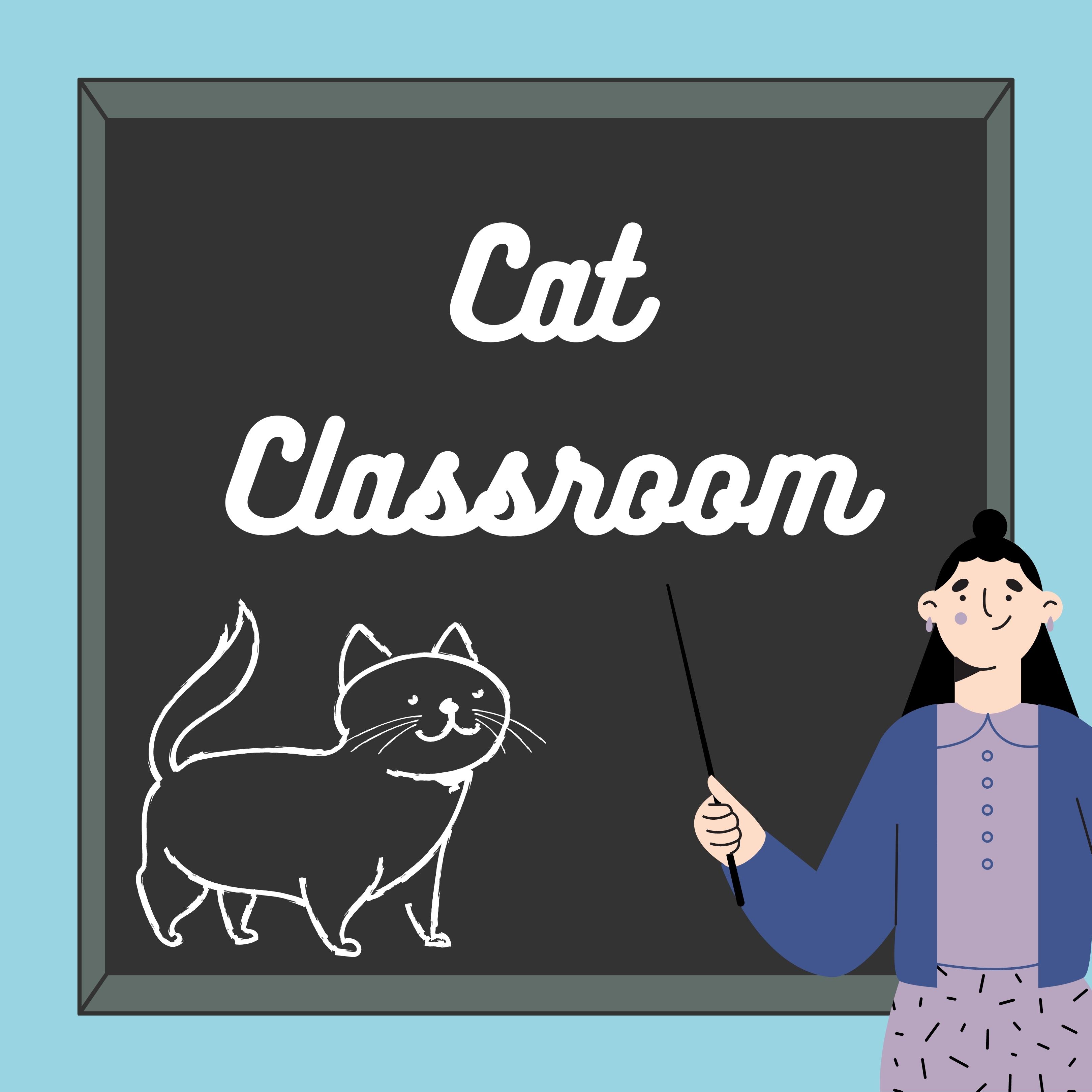 Cat Classroom - Cat Classroom | Hotmart