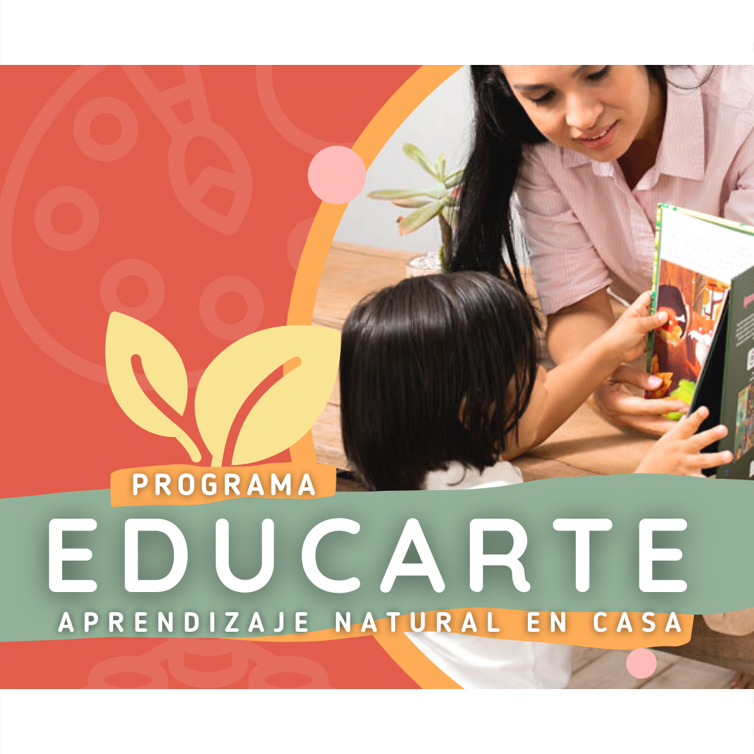 Programa Educarte - Edad 1 a 2 años - Altaira Gomez | Hotmart