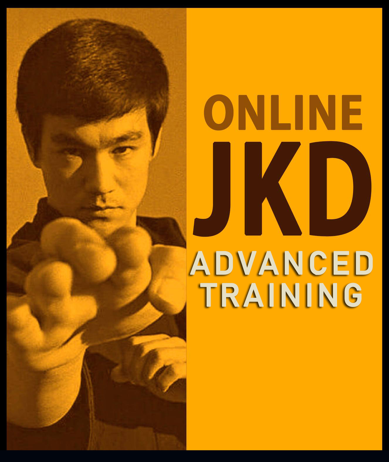 ADVANCED JEET KUNE DO - Bruce Lee Trapping Boxing - Matsunaga Jeet...