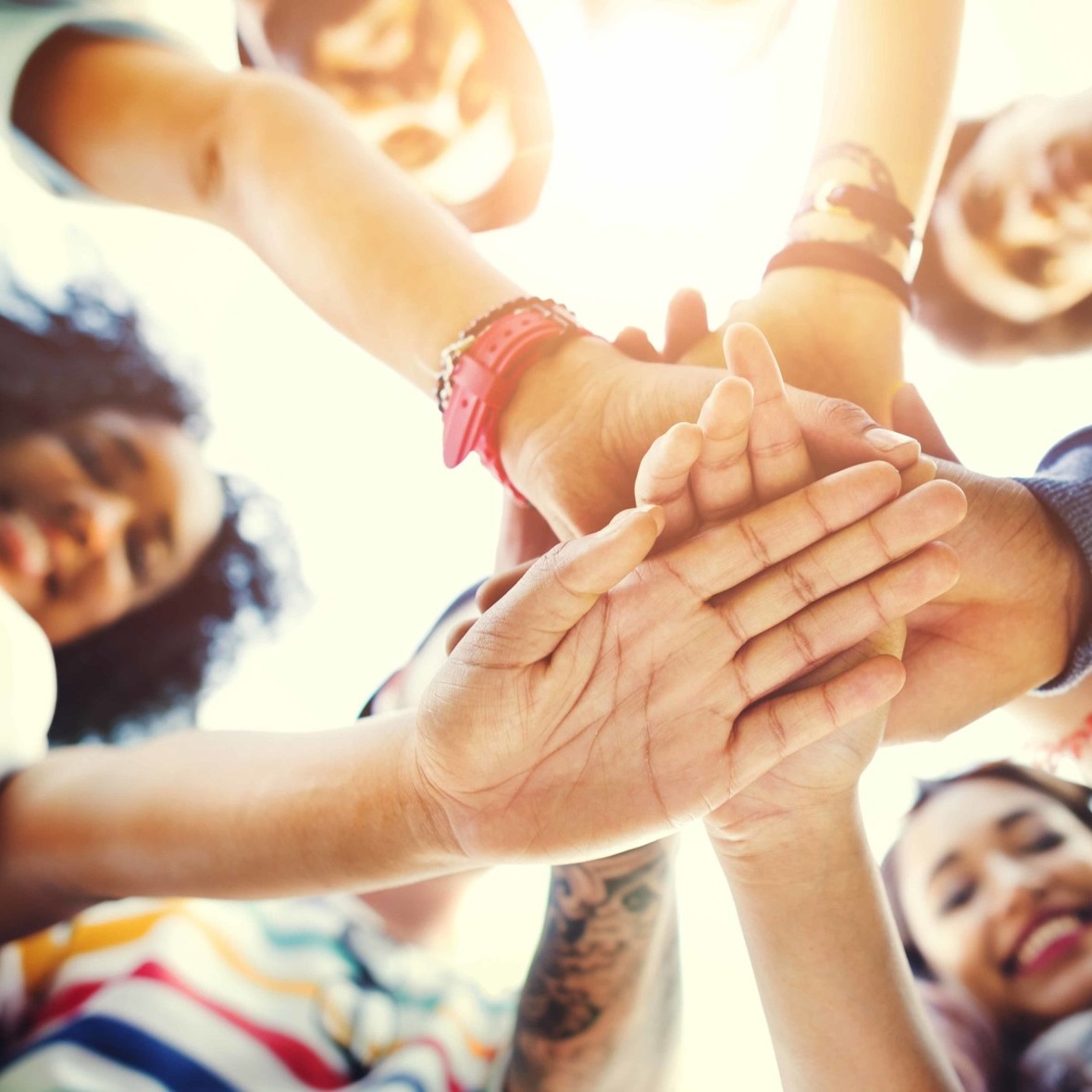 Relações e Emoções Saudáveis - Tamara Piazzetta | Hotmart