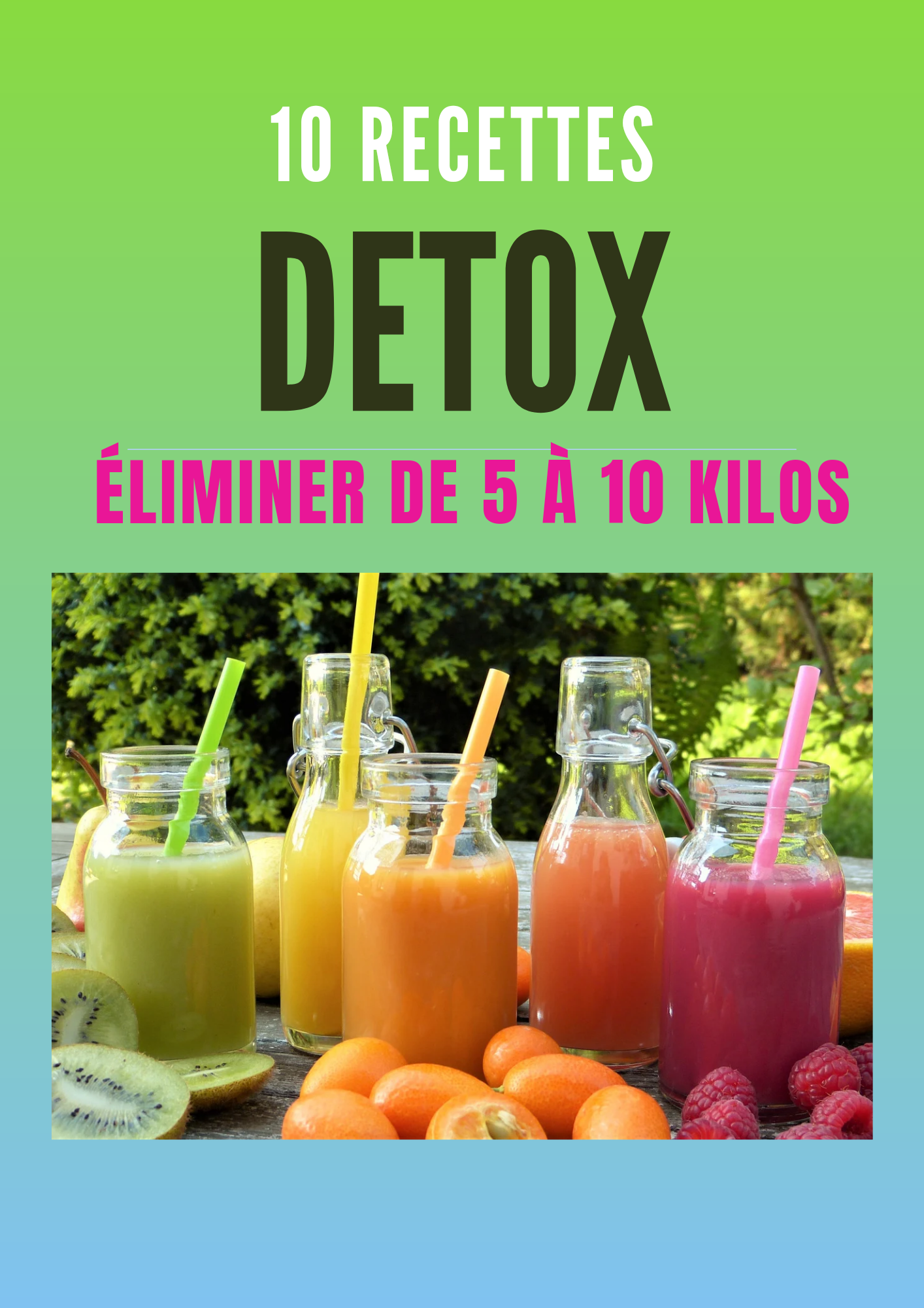 10 RECETTES DETOX - Heloysa Bento Bernardo da Silva | Hotmart