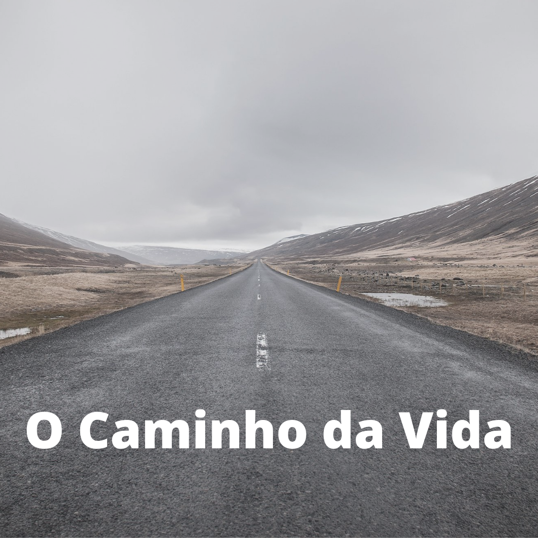 O CAMINHO DA VIDA - Roberto Lima Coach | Hotmart