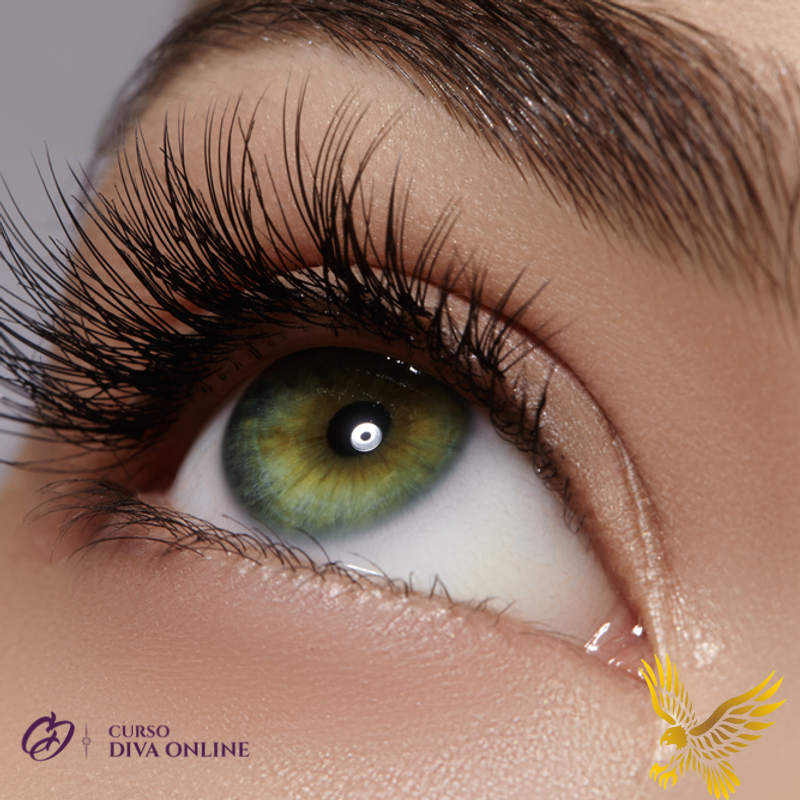 Curso Lash Lifting + Brow Lamination - Curso Diva Online | Hotmart