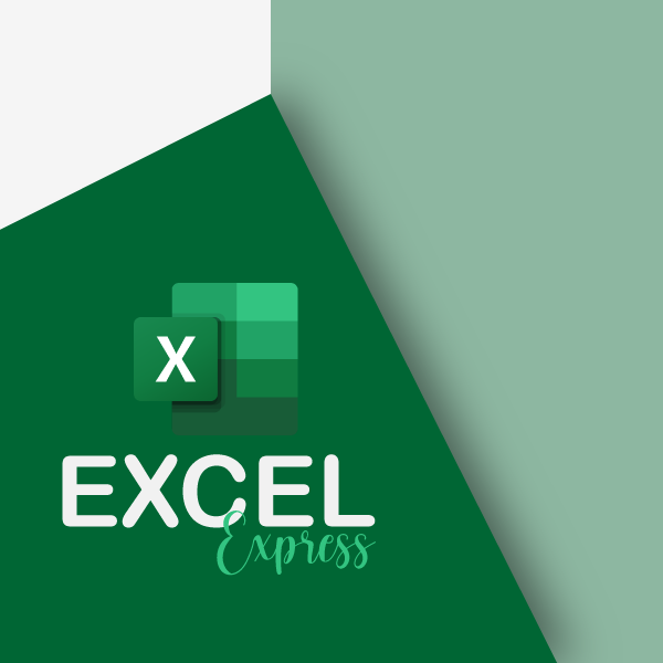 Excel Express - NovaNett | Hotmart