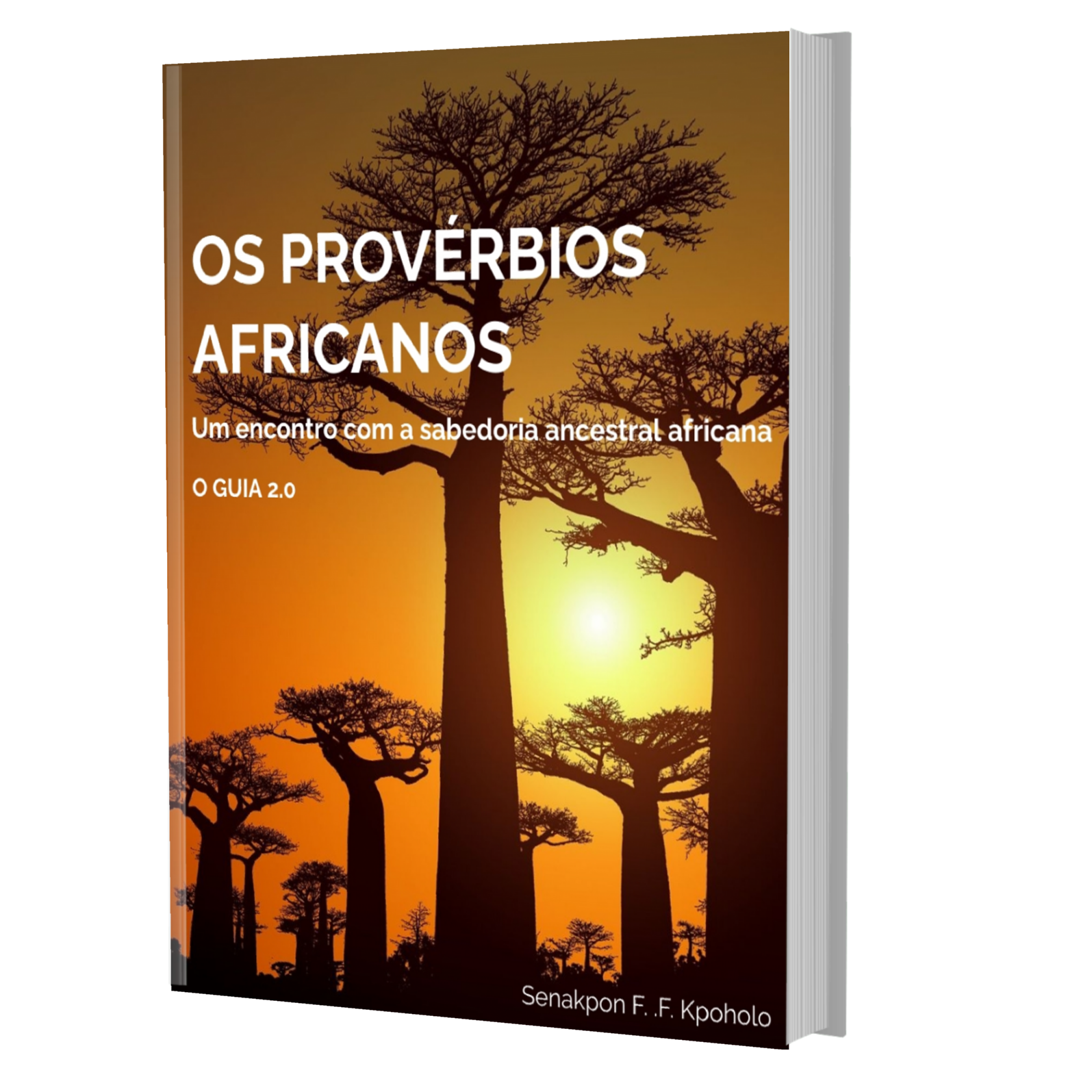 O Guia Digital dos Provérbios Africanos - SENAKPON FABRICE FIDELE ...