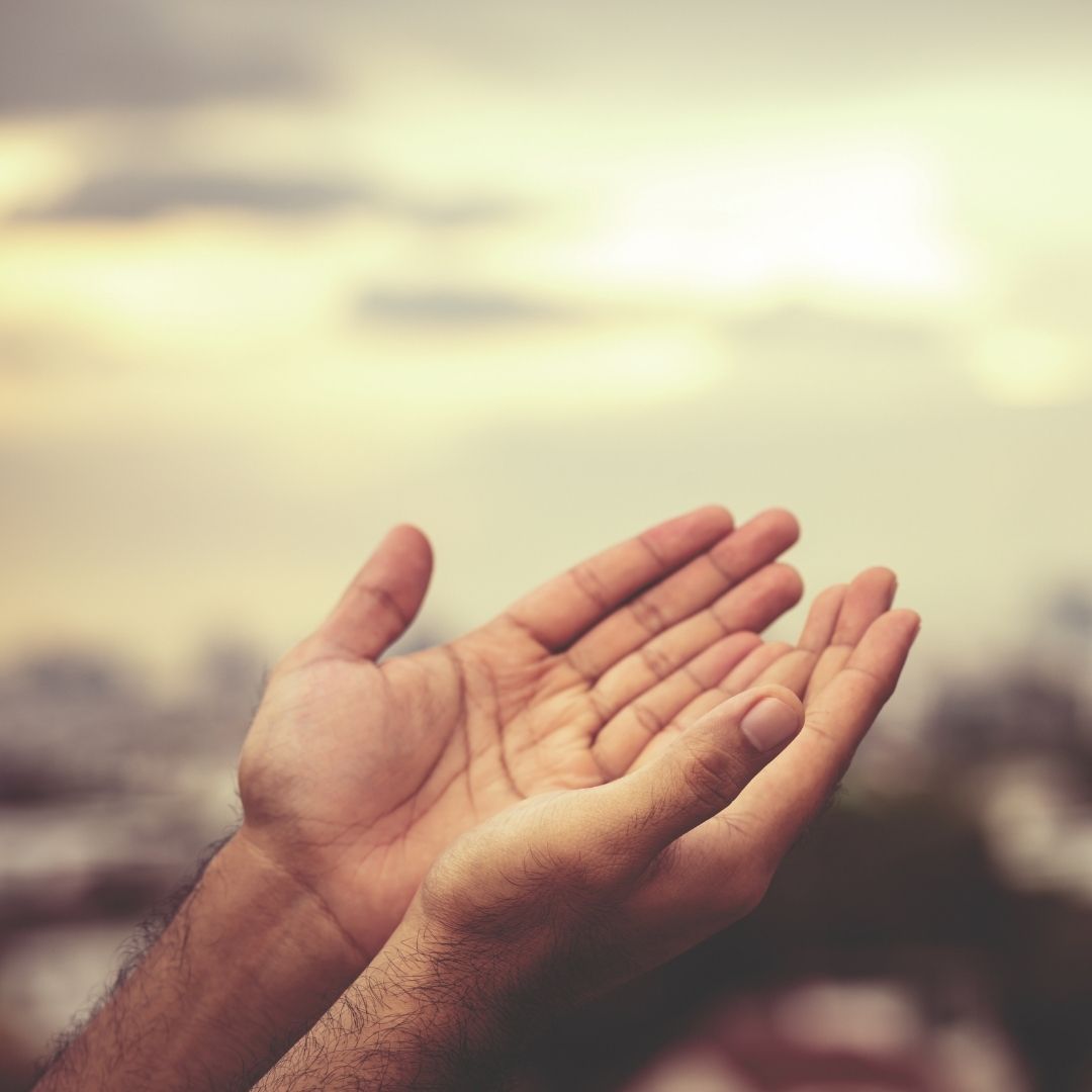 Técnica de Benzimento - Neilton Araújo | Hotmart