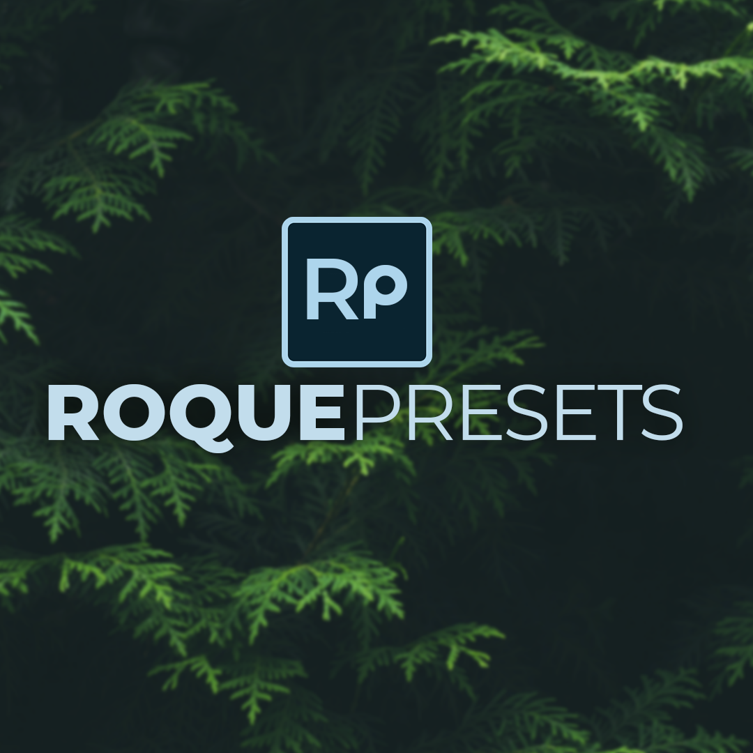 Pack Roque 20 Presets - FOTOS QUE INFLUENCIAM - SAMI DE SOUZA ROQUE ...