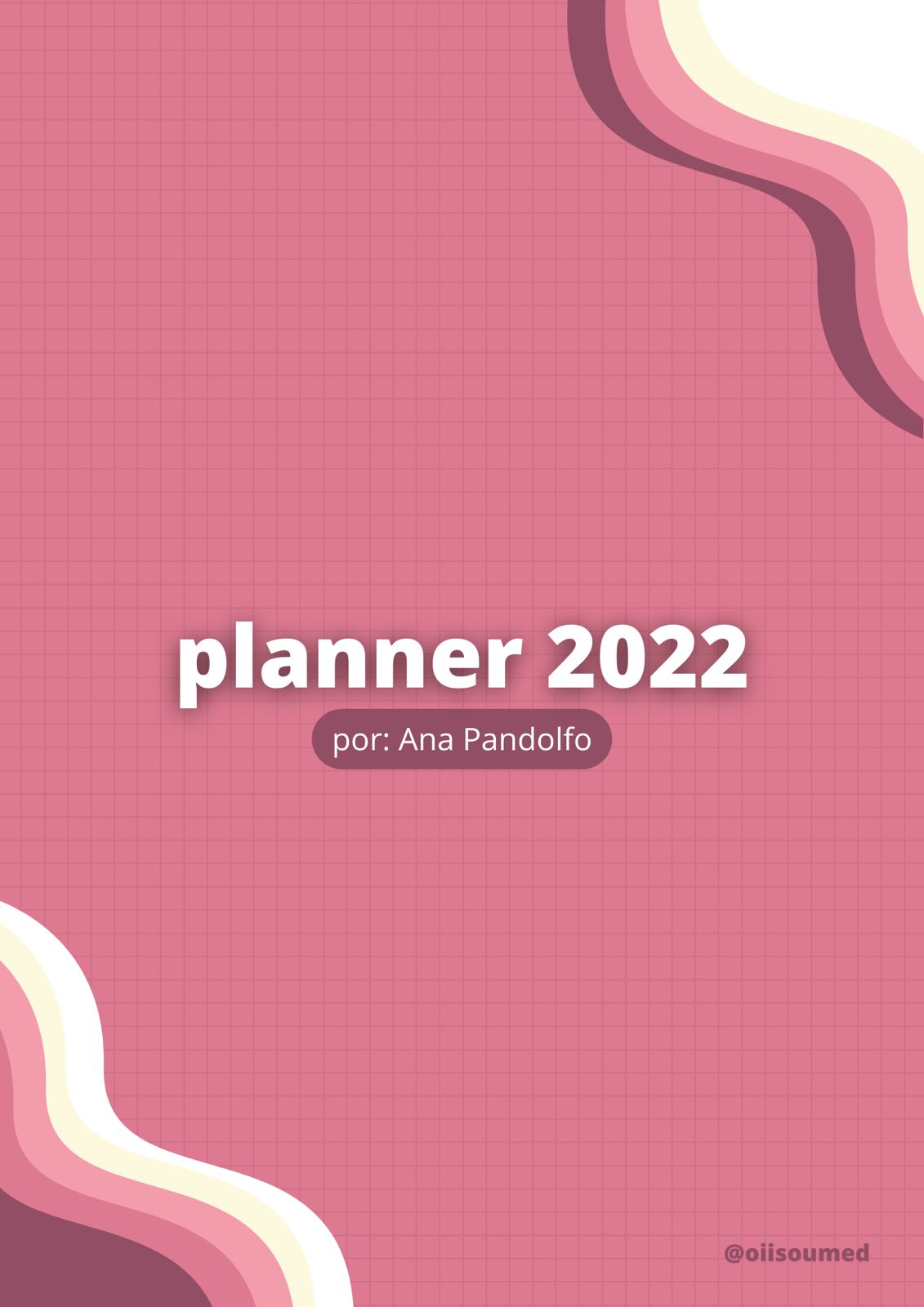Planner 2022 - Ana Flávia Pandolfo Da Silva | Hotmart