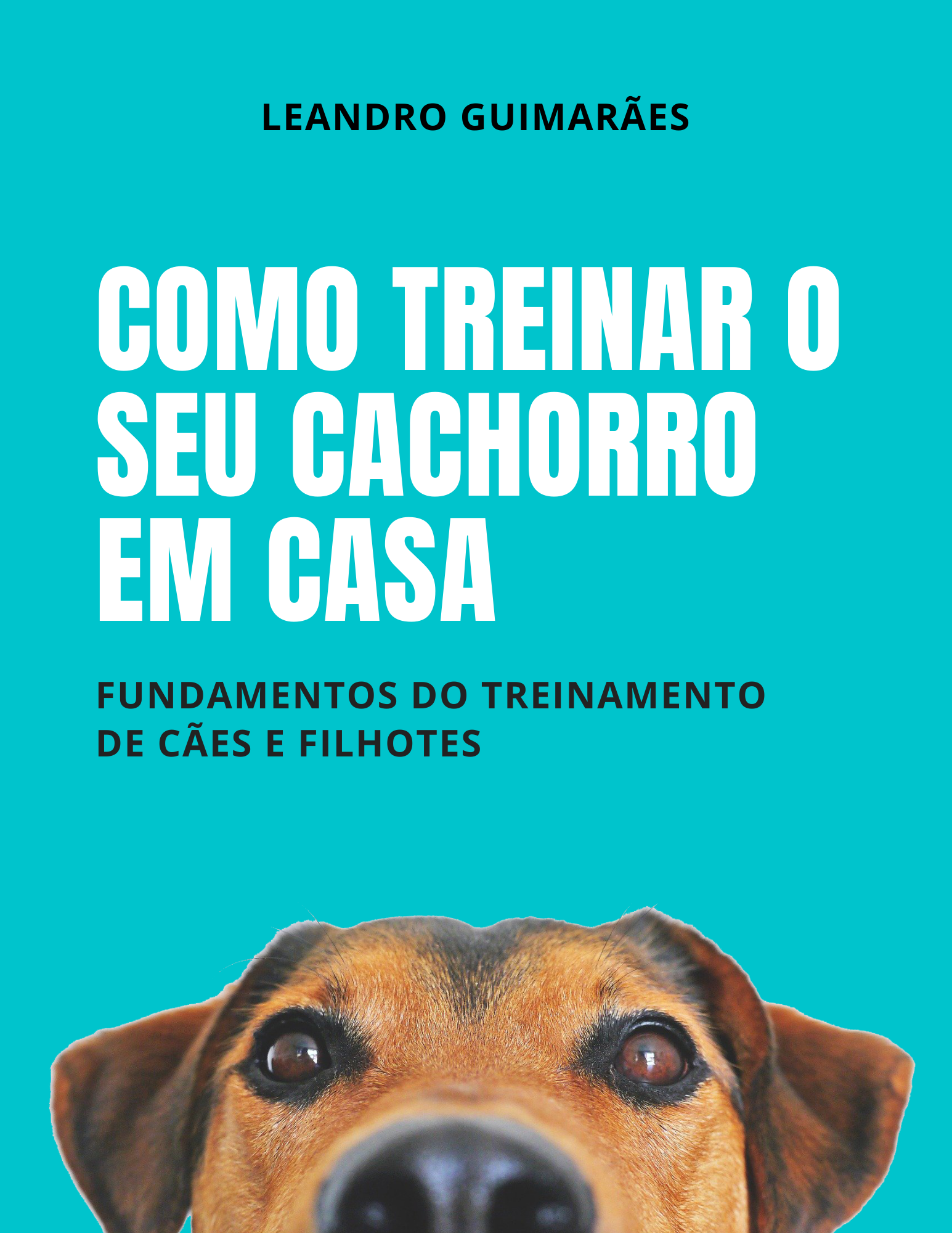 Como Treinar o seu Cachorro em Casa - Fundamentos do Treinamento d...