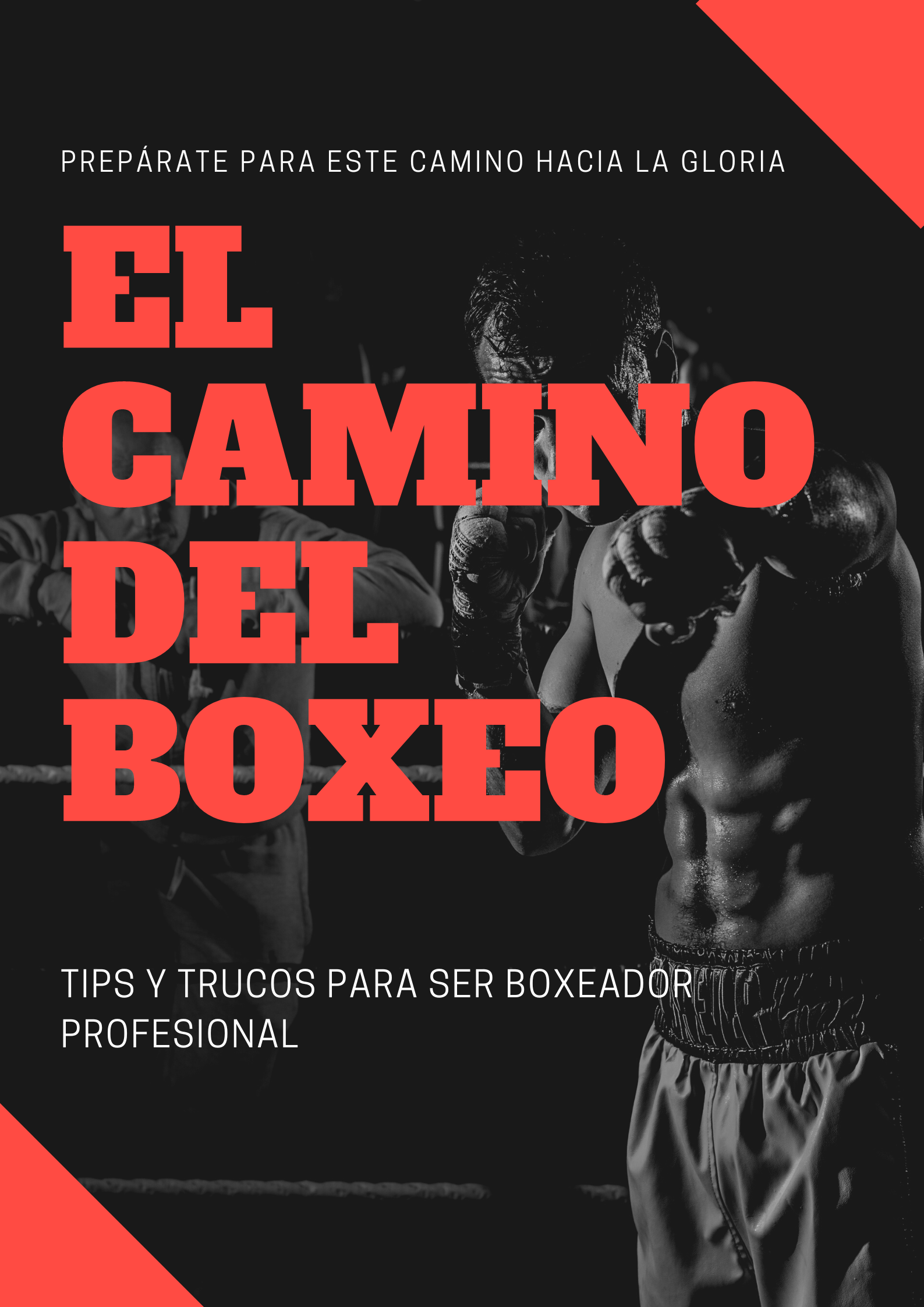 "El Camino del Boxeo: Técnicas, Estrategias y Mentalidad para el Éx...