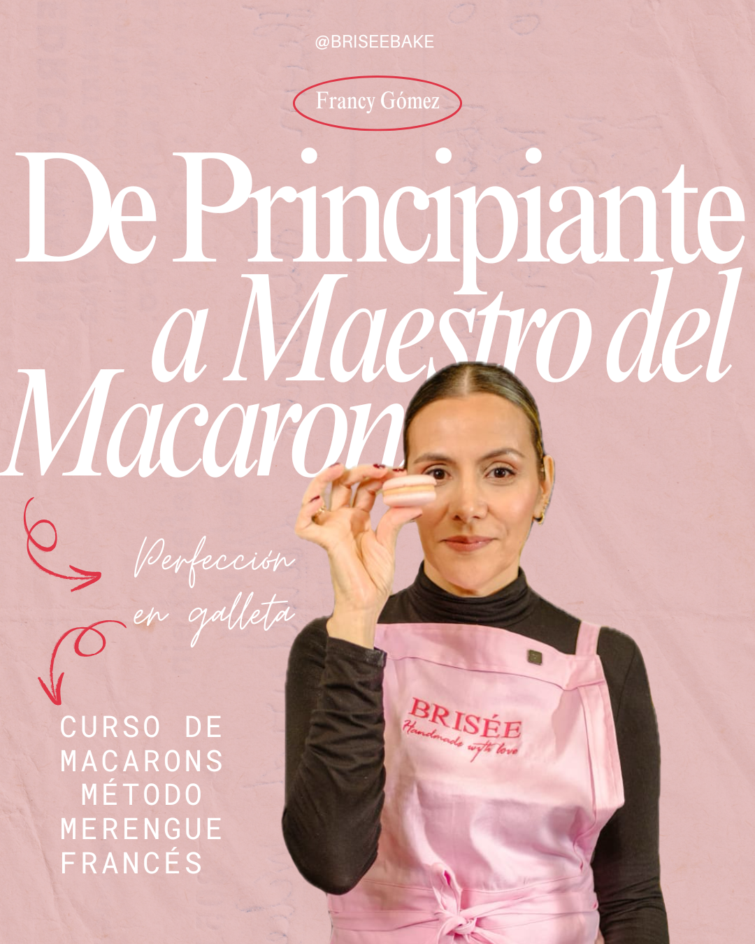 De Principiante a Maestro del Macaron - Francy Elena Gomez Sanchez ...