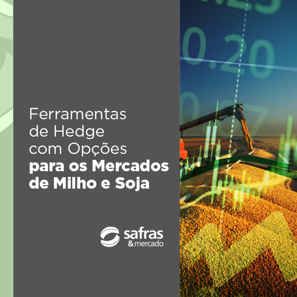 Curso Ferramentas de Hedge com Opções para os Mercados de Milho e S...